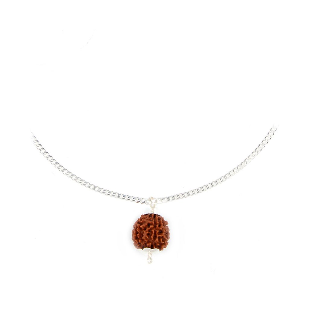 Buy Ashram Rudraksha Pendant with Silver Chain Online | Siddha Yoga ...